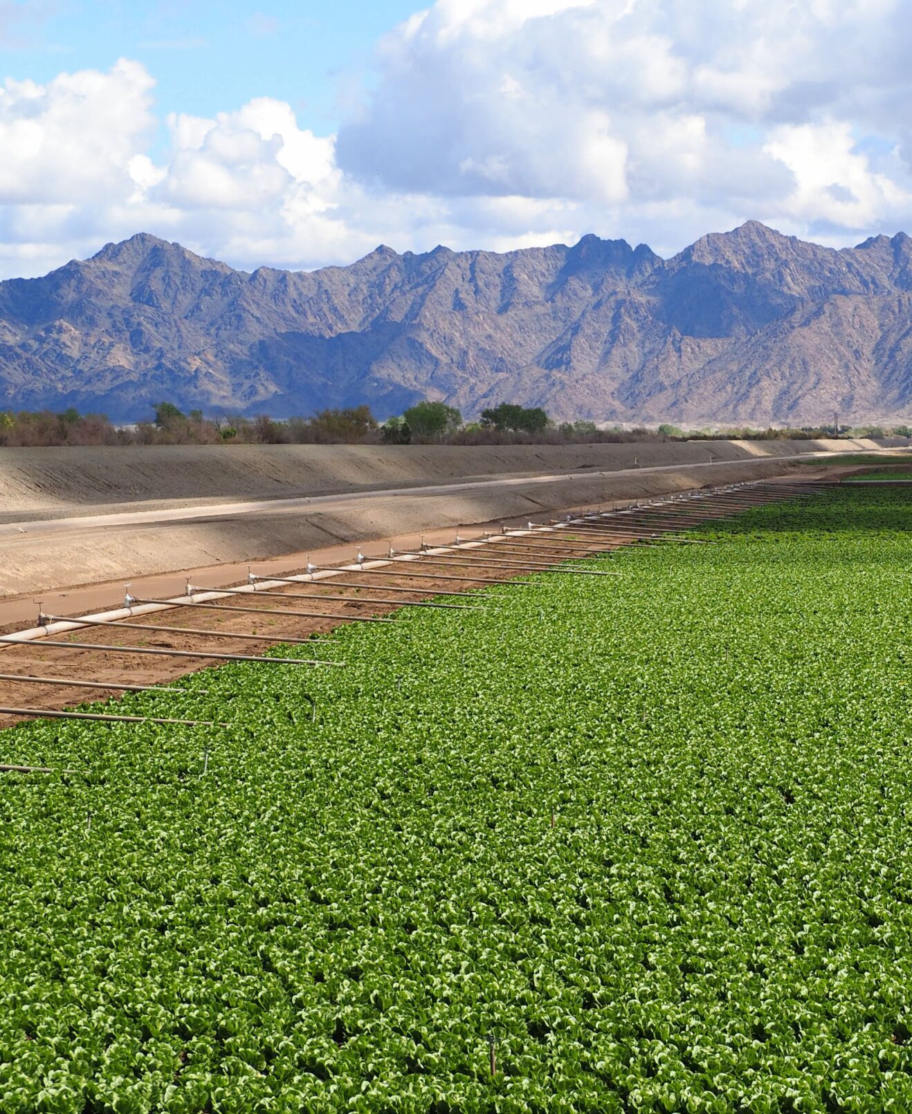 Adapting Farming and Ranching - Colorado River Resilience