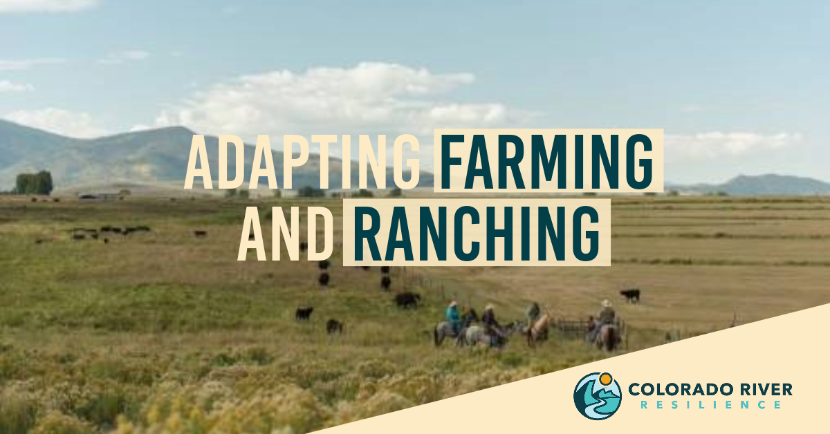Adapting Farming and Ranching - Colorado River Resilience